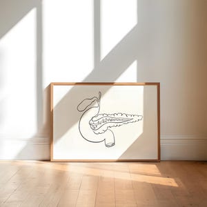 Pancreas Anatomy Art, Medical Office Wall Decor, One Line Drawing Human ...