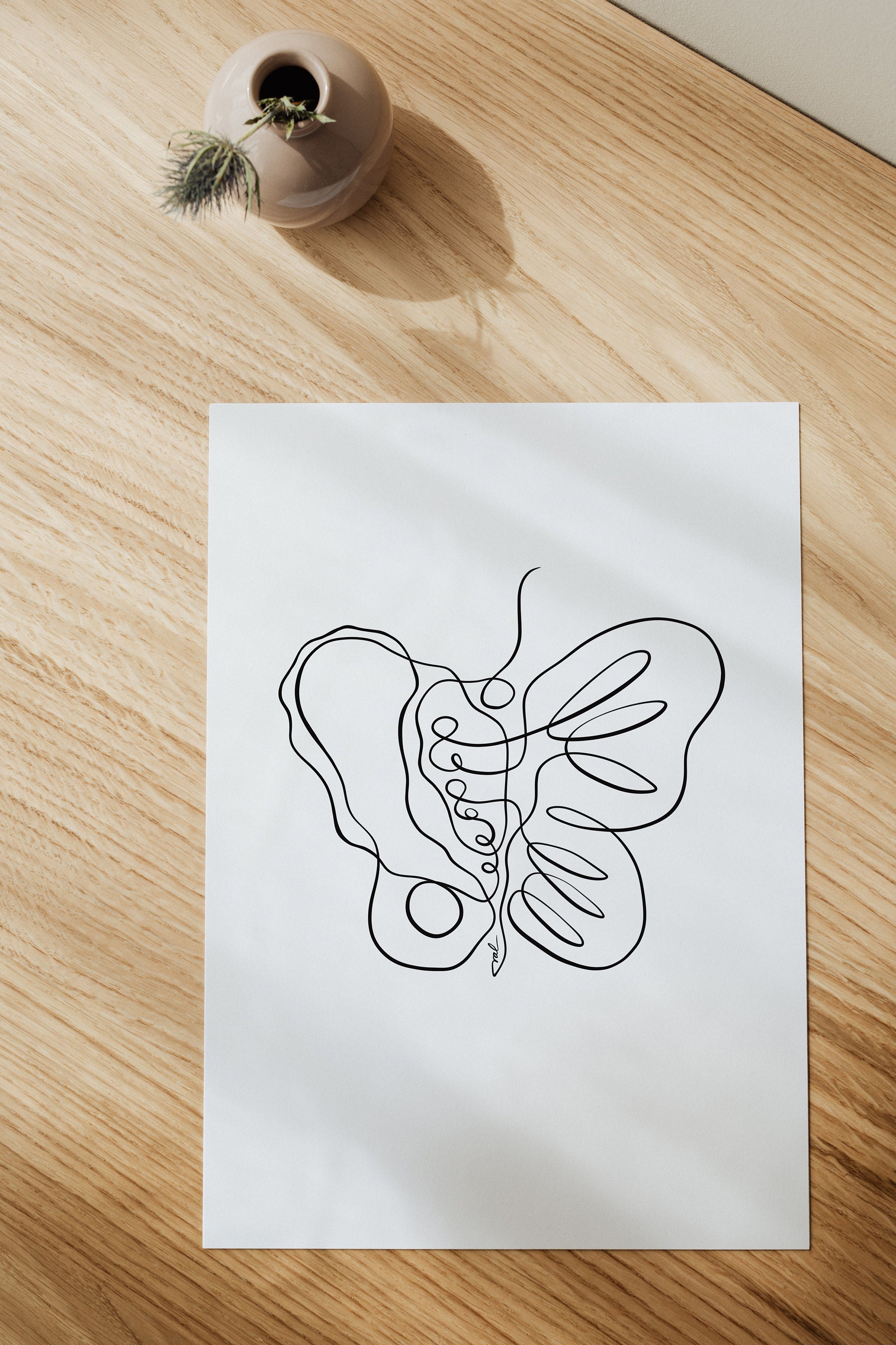 Pelvic Floor Art Pelvis Art Butterfly Human Anatomy Art - Etsy