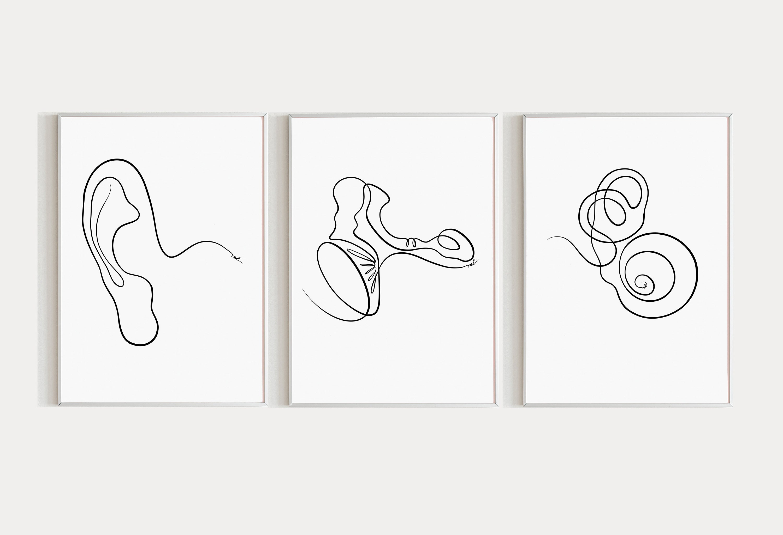 Ear Anatomy Art Print, Audiology Set of 3 Posters, Outer Middle and ...