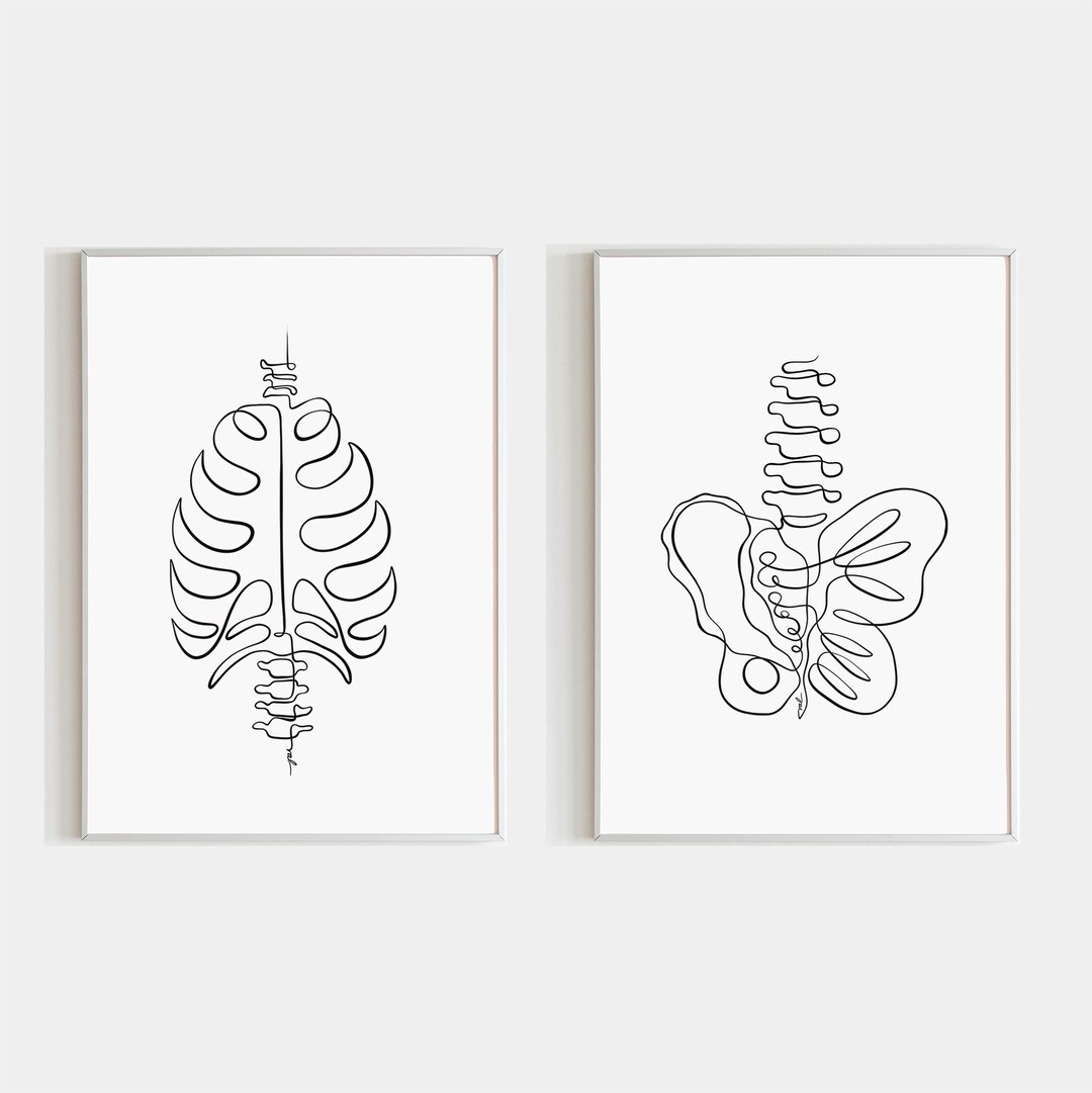 Physical Therapy Set of 2 Wall Art Prints ,spine Pelvic Floor Print ...