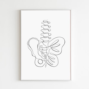 Spine Pelvic Floor Print, Physical Therapy Art, Pelvic Health Art ...