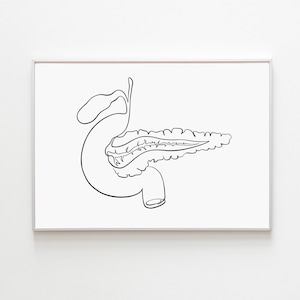 Pancreas Anatomy Art, Medical Office Wall Decor, One Line Drawing Human ...