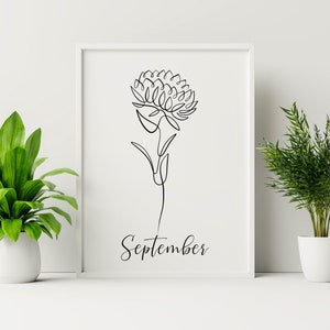 Aster Birth Flower Art Print, September Birth Month Flowers Printable ...