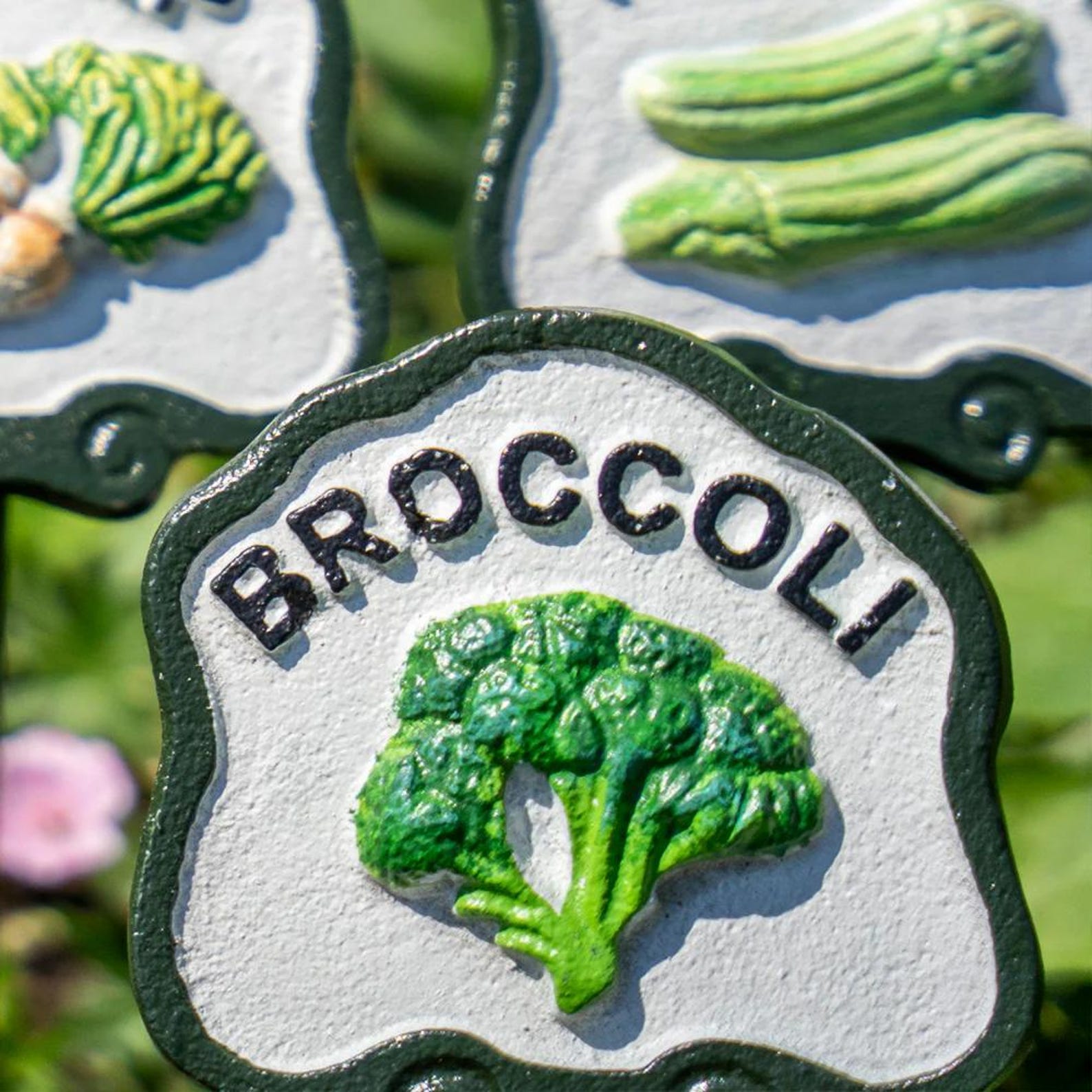 Six Vegetable Plant Signs - Etsy