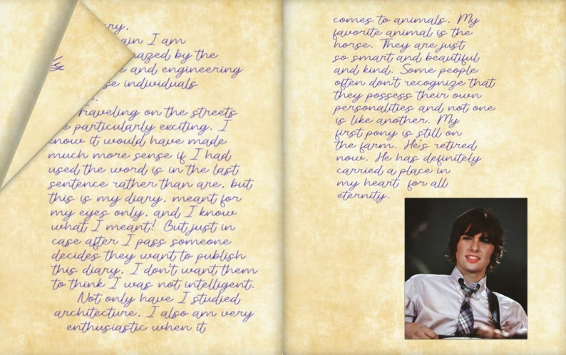 Mia's Diary (from the Princess Diaries) - Etsy