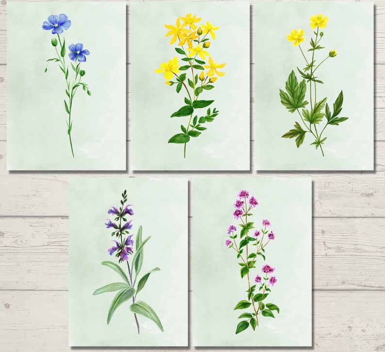 5 Floral Printable Planner Covers Happy Planner Classic and Mini Format ...
