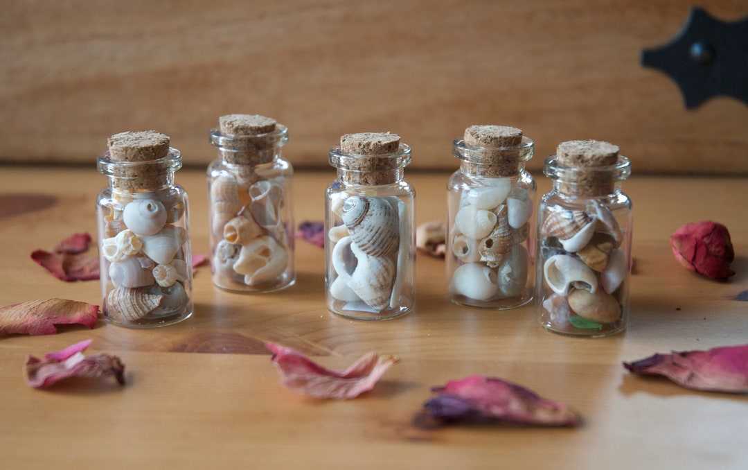 Mystery Beach Oddity Jar Curiosity Jar Beach Finds Sea Glass Mini ...