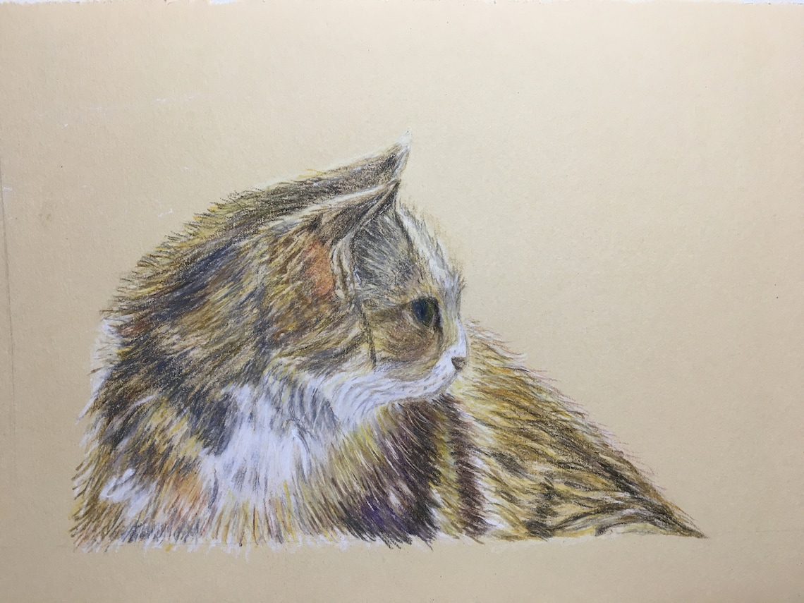Field Cat, Original Art, Cottage Core, Cat and Bird Art, Brown Tabby ...