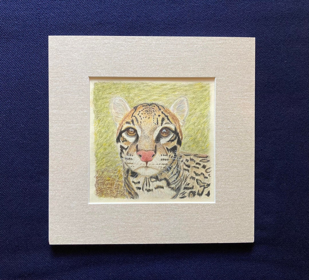 Otto the Ocelot, Original Colored Pencil Drawing, Buff-brown Wildcat ...