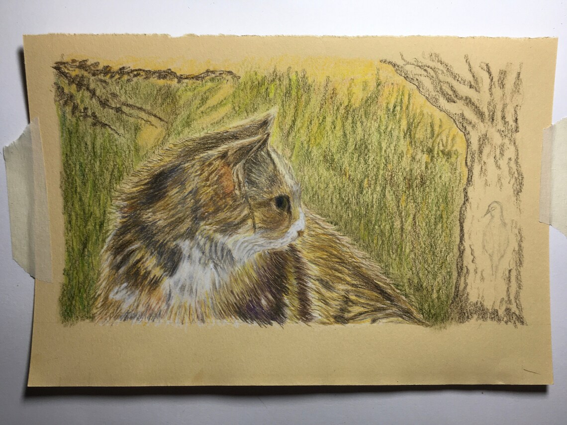 Field Cat, Original Art, Cottage Core, Cat and Bird Art, Brown Tabby ...