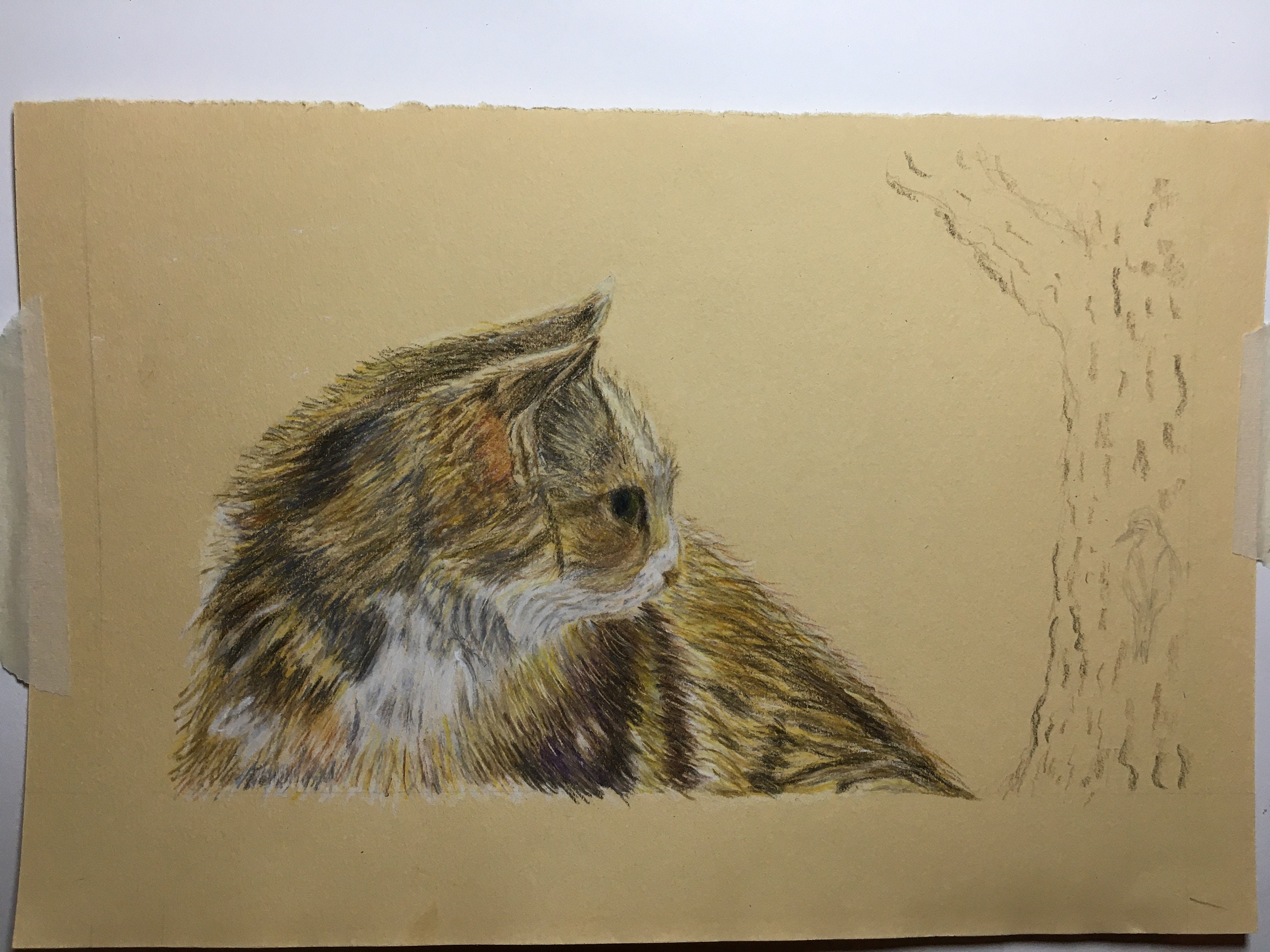 Field Cat, Original Art, Cottage Core, Cat and Bird Art, Brown Tabby ...