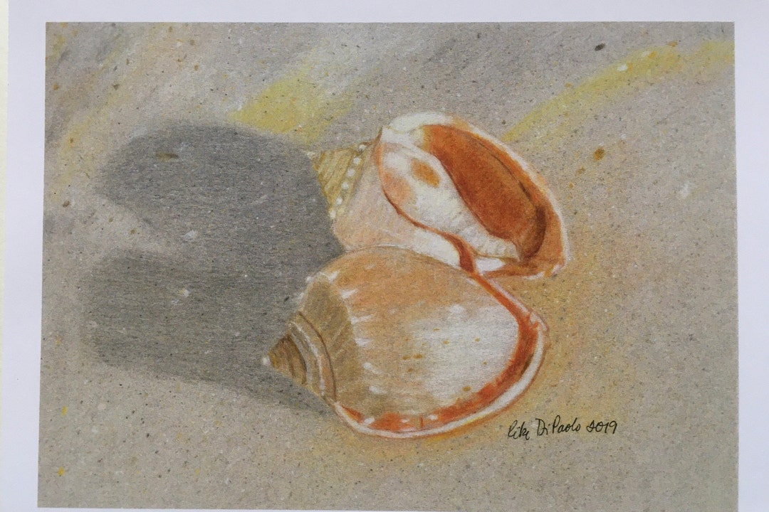 Seashell Blank Note Card and Envelope, Conch Seashell Gift and Note ...
