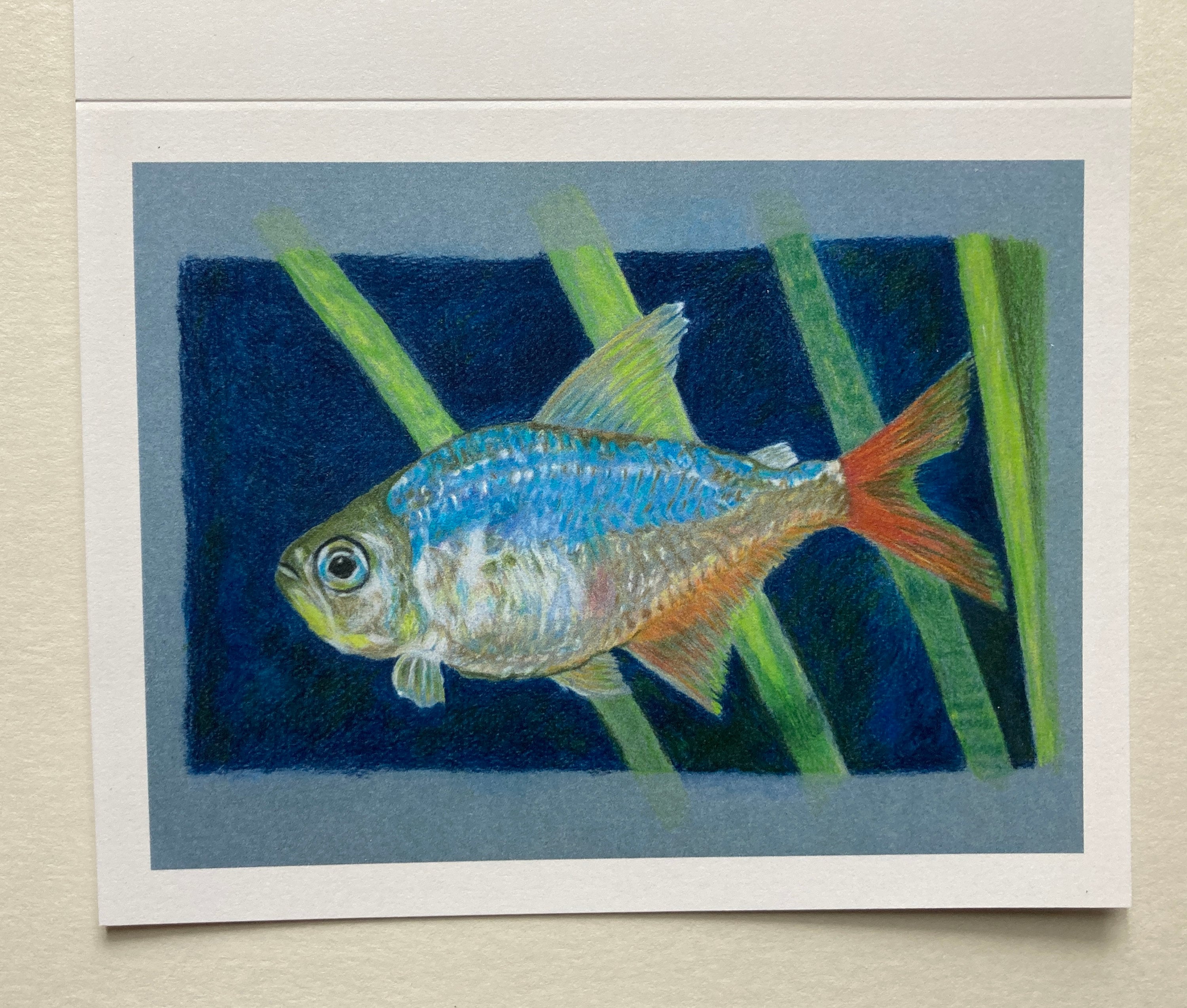 Fish Cards, Aquarium Fish, Bright Note Cards. Gone Fishing Note Cards ...