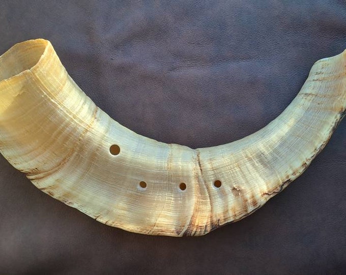 Blow Goat Bukkehorn Bockhorn Horn Viking Blowing Horn - Etsy