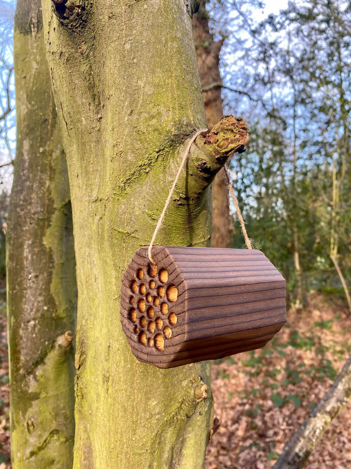 Hanging Bee Hotel Gift Set Mini Octagonal Bee House With - Etsy UK