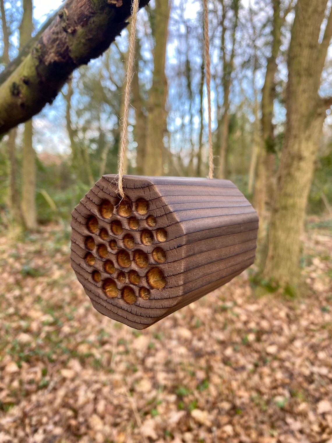 Hanging Bee Hotel Gift Set Mini Octagonal Bee House With - Etsy UK