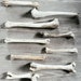 Deer Leg Bones Set of 4 - Etsy