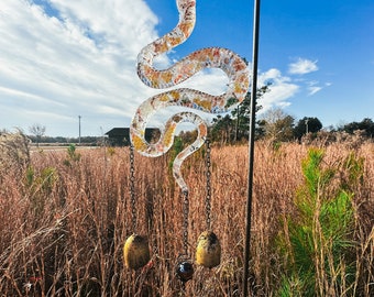 Vertebrae Air Plant Displays Please Read Full Description - Etsy UK