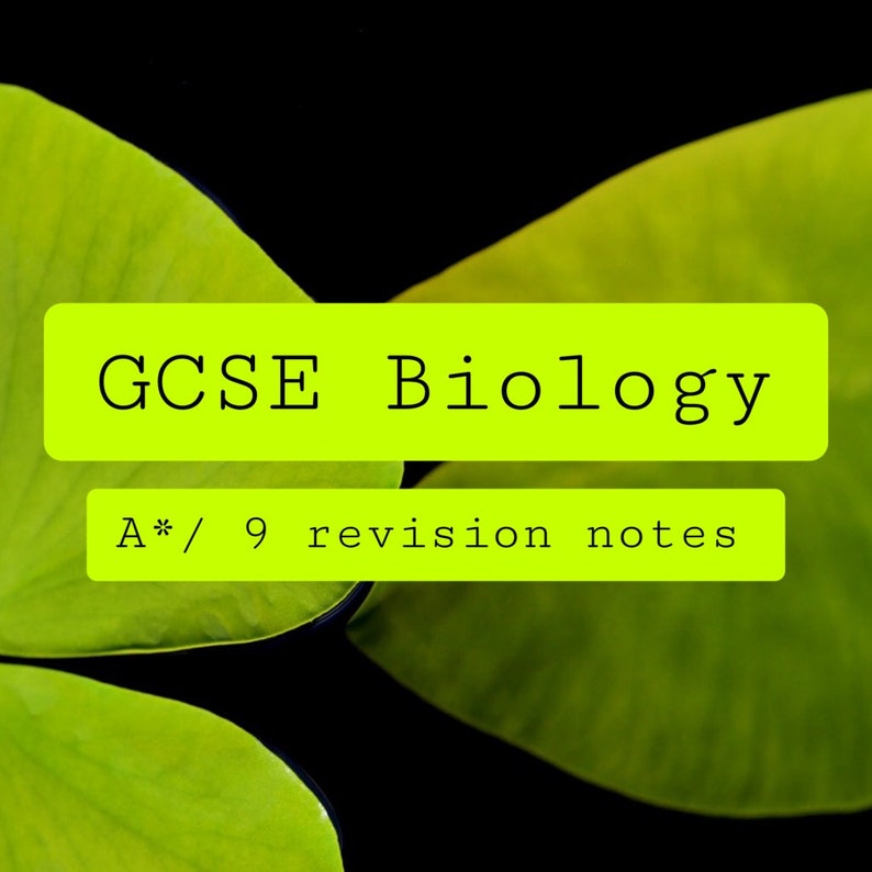 GCSE Biology Revision Notes Guide Written by a Grade 9/ A Student - Etsy