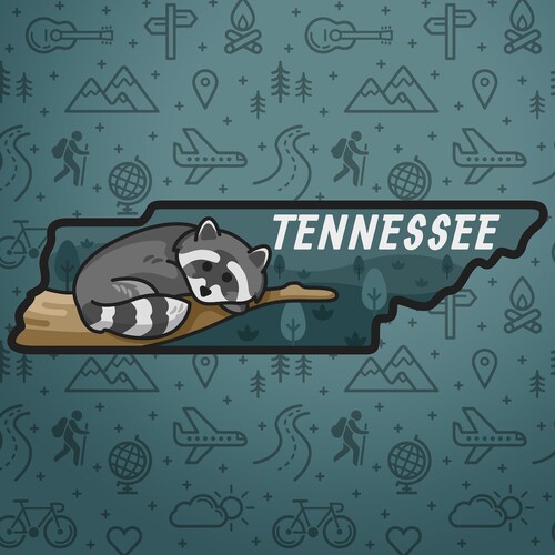 Tennessee State Vinyl Adventure Sticker Set All 50 States - Etsy