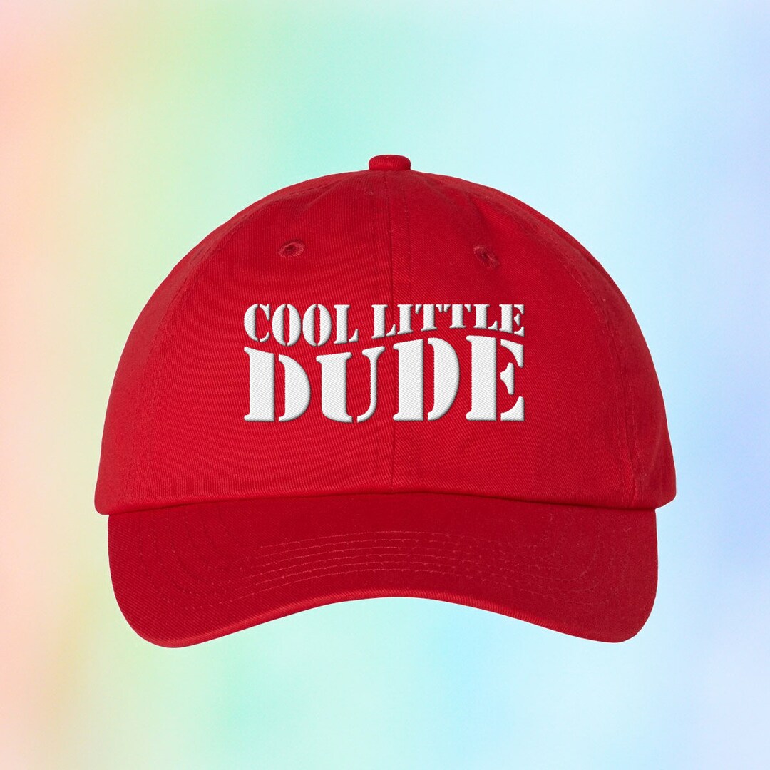Cool Little Dude Youth Embroidered Hat, Kids Hat, Funny Kids Hat, Cute ...