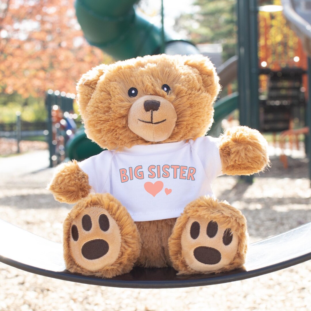 Big Sister Stuffed Bear, Kid's Big Sister Bear Gift, Baby Announcement ...