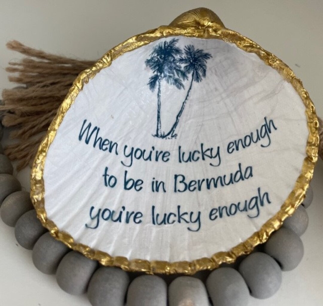 Bermuda, Bermuda Clam Shell, Coastal Decor, Jewelry, Bermuda Shell ...