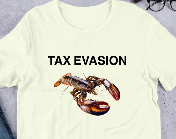 You Lost Baby Girl, Funny Meme Shirt, Ironic Shirt, Joke Gift, Oddly ...