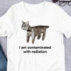 Rat is Short for Ratthew Meme, Funny Meme Shirt, Ironic Shirt ...
