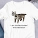Rat is Short for Ratthew Meme, Funny Meme Shirt, Ironic Shirt ...