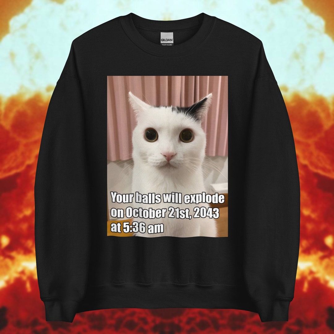 Your Balls Will Explode, Funny Cat Meme Sweatshirt, Gift for Friend, Weirdcore, Oddly Specific ...