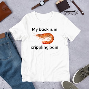 My Back is in Crippling Pain Shrimp, Funny Meme Shirt, Ironic Shirt ...
