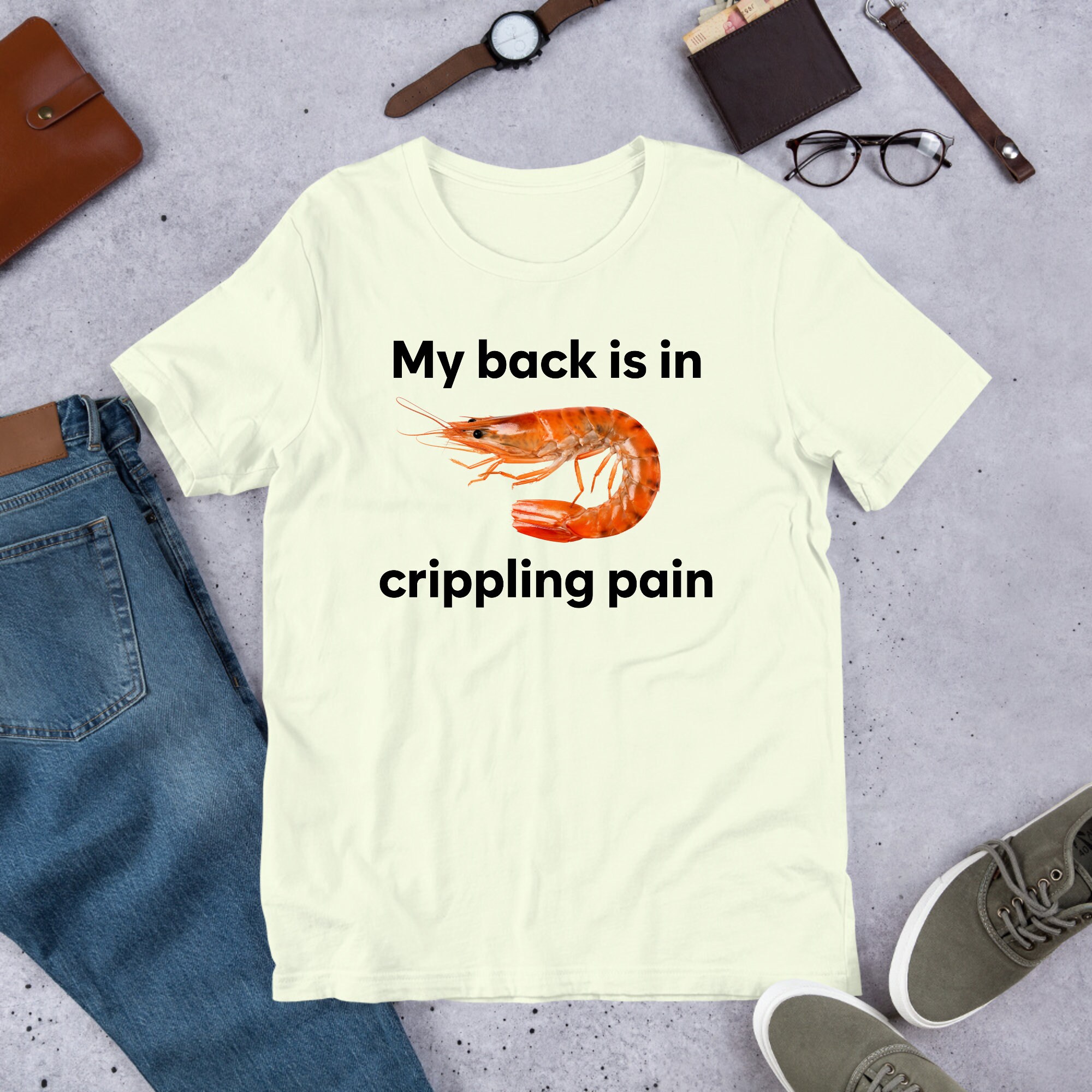 My Back is in Crippling Pain Shrimp, Funny Meme Shirt, Ironic Shirt ...