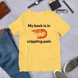 My Back is in Crippling Pain Shrimp, Funny Meme Shirt, Ironic Shirt ...