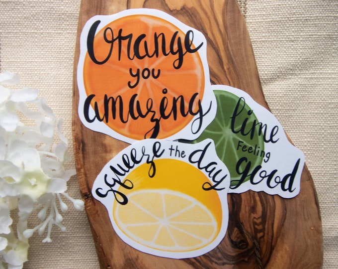 Citrus Pun Pack, Lemon Sticker, Lime Sticker, Orange Sticker, Citrus ...