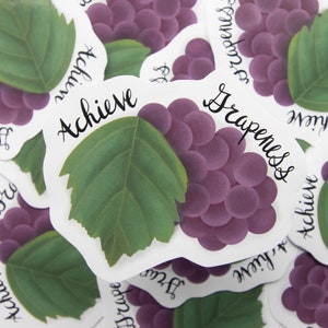 Grape Pun Sticker, Fruit Pun Sticker, Grape Sticker for Laptop, Grape ...