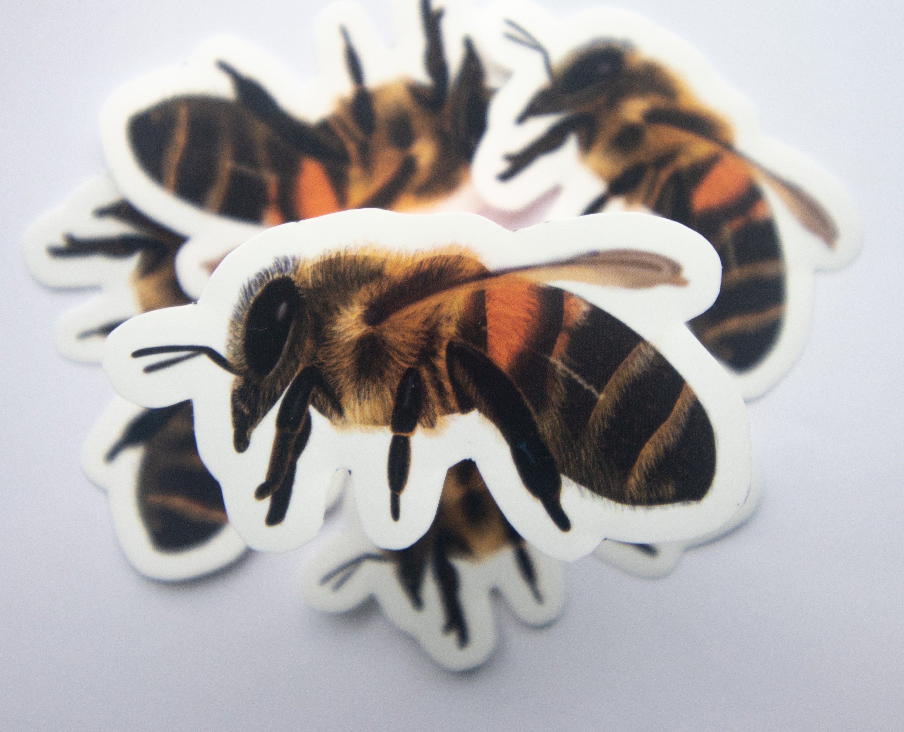 Bee Sticker for Laptop, Bee Bug Sticker, Bee Vinyl Sticker, Bee Drawing ...