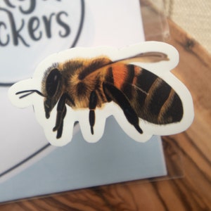 Bee Sticker for Laptop, Bee Bug Sticker, Bee Vinyl Sticker, Bee Drawing ...