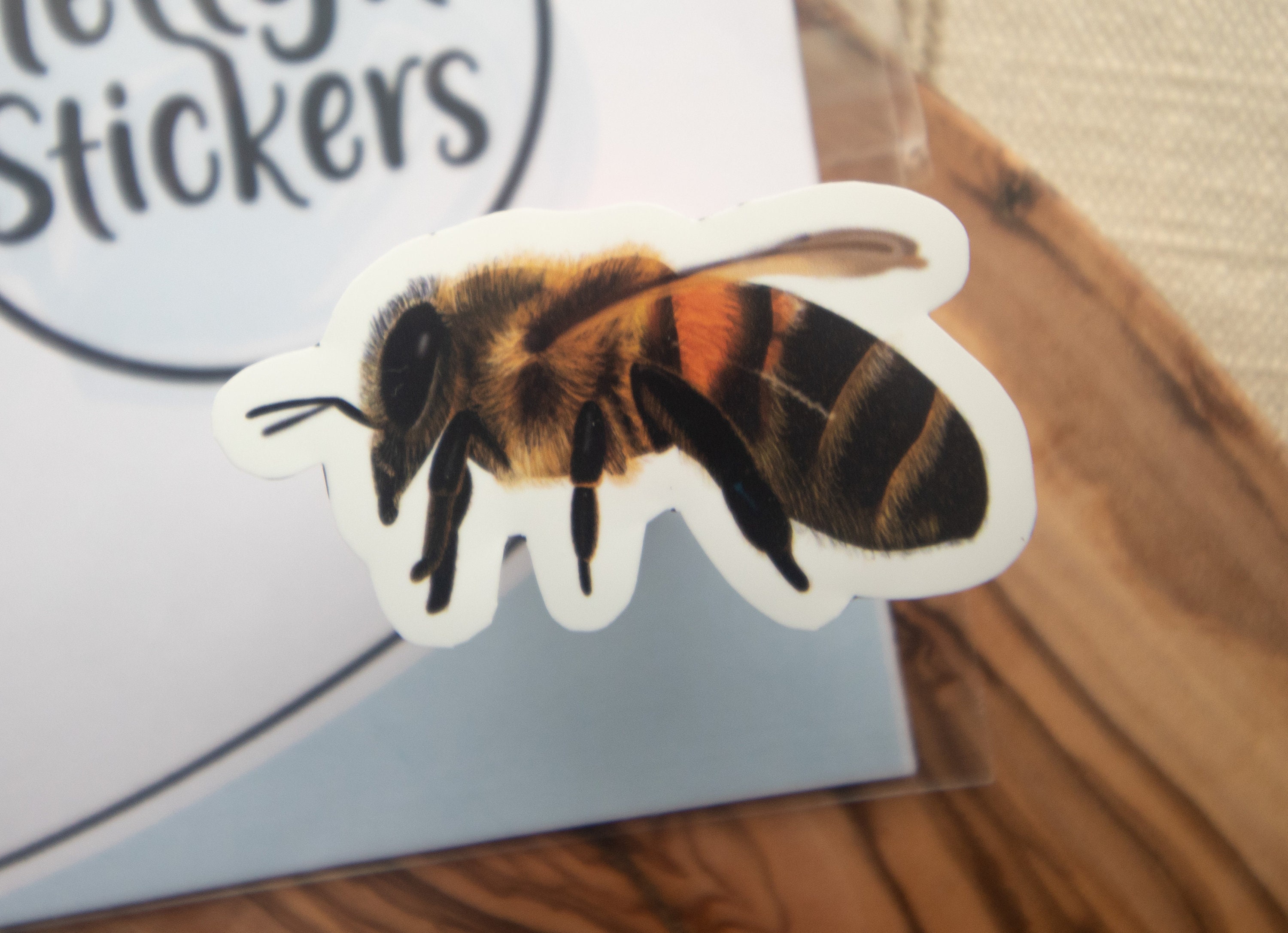 Bee Sticker for Laptop, Bee Bug Sticker, Bee Vinyl Sticker, Bee Drawing ...