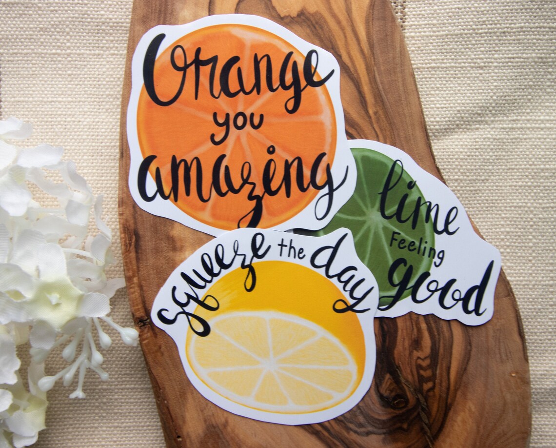 Citrus Pun Pack Lemon Sticker Lime Sticker Orange Sticker | Etsy