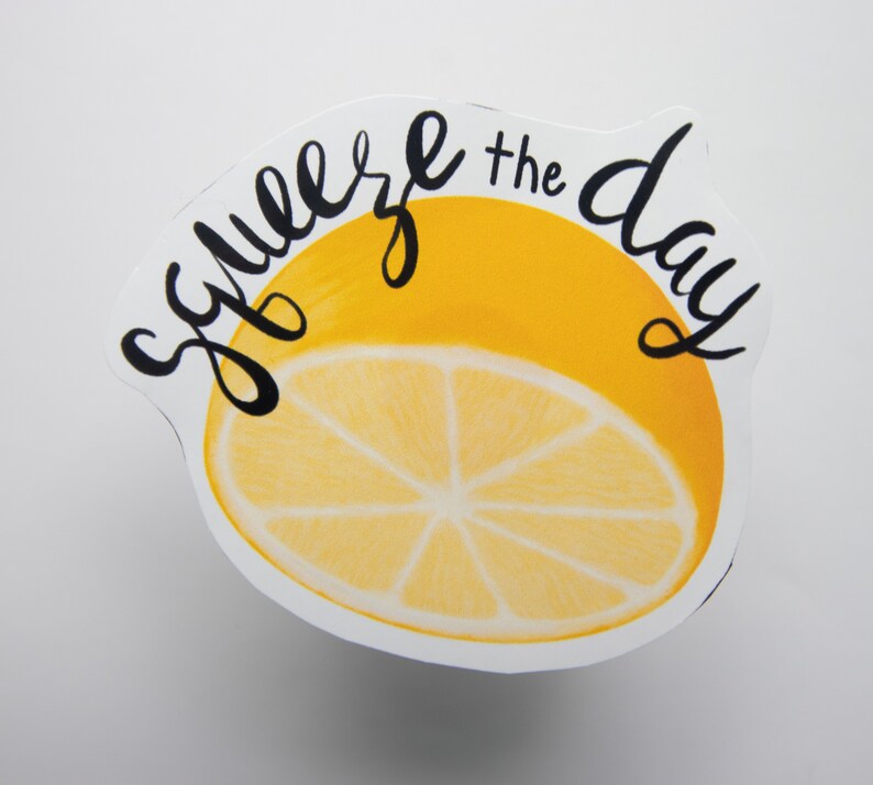 Citrus Pun Pack, Lemon Sticker, Lime Sticker, Orange Sticker, Citrus ...