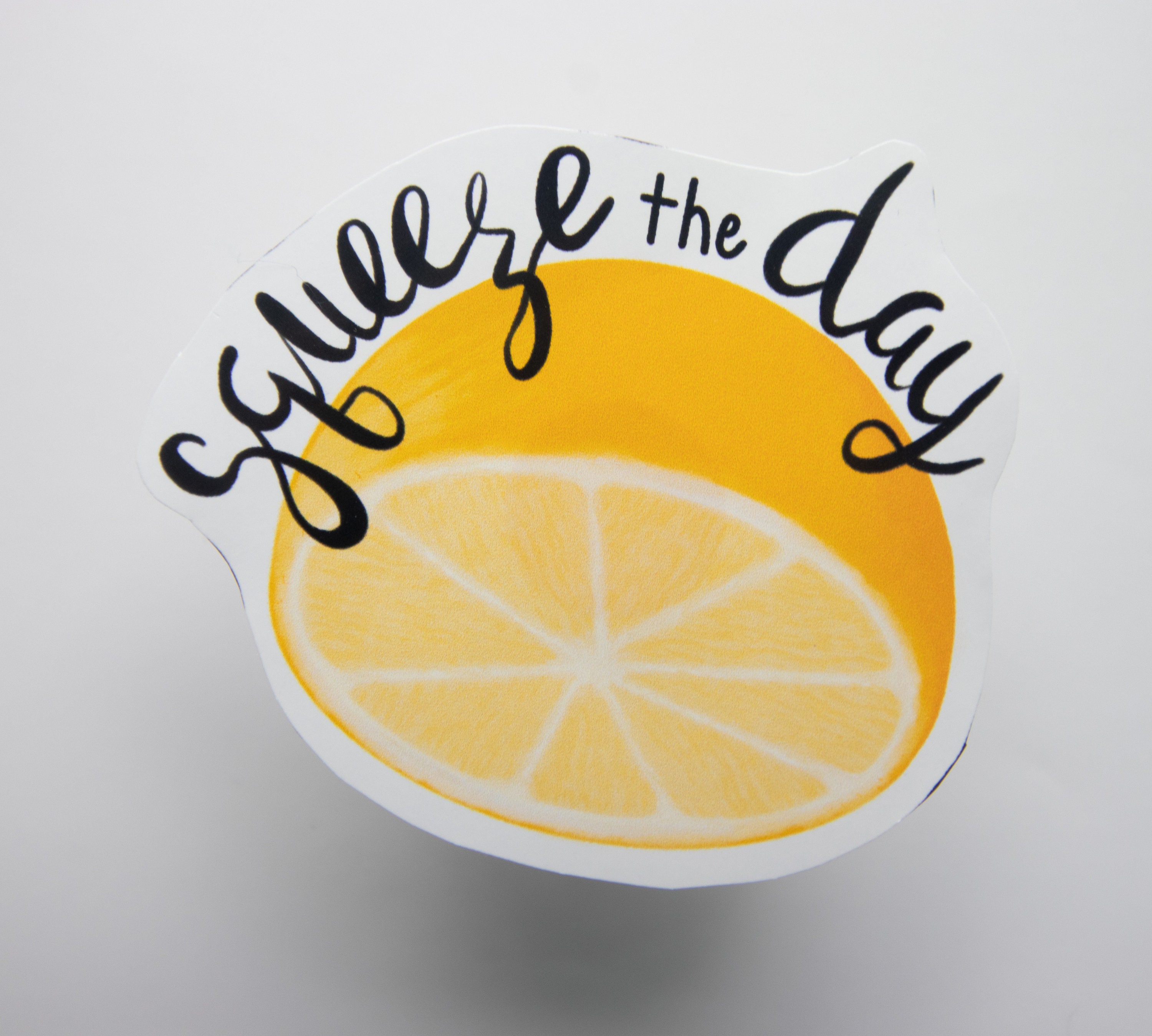 Citrus Pun Pack, Lemon Sticker, Lime Sticker, Orange Sticker, Citrus ...