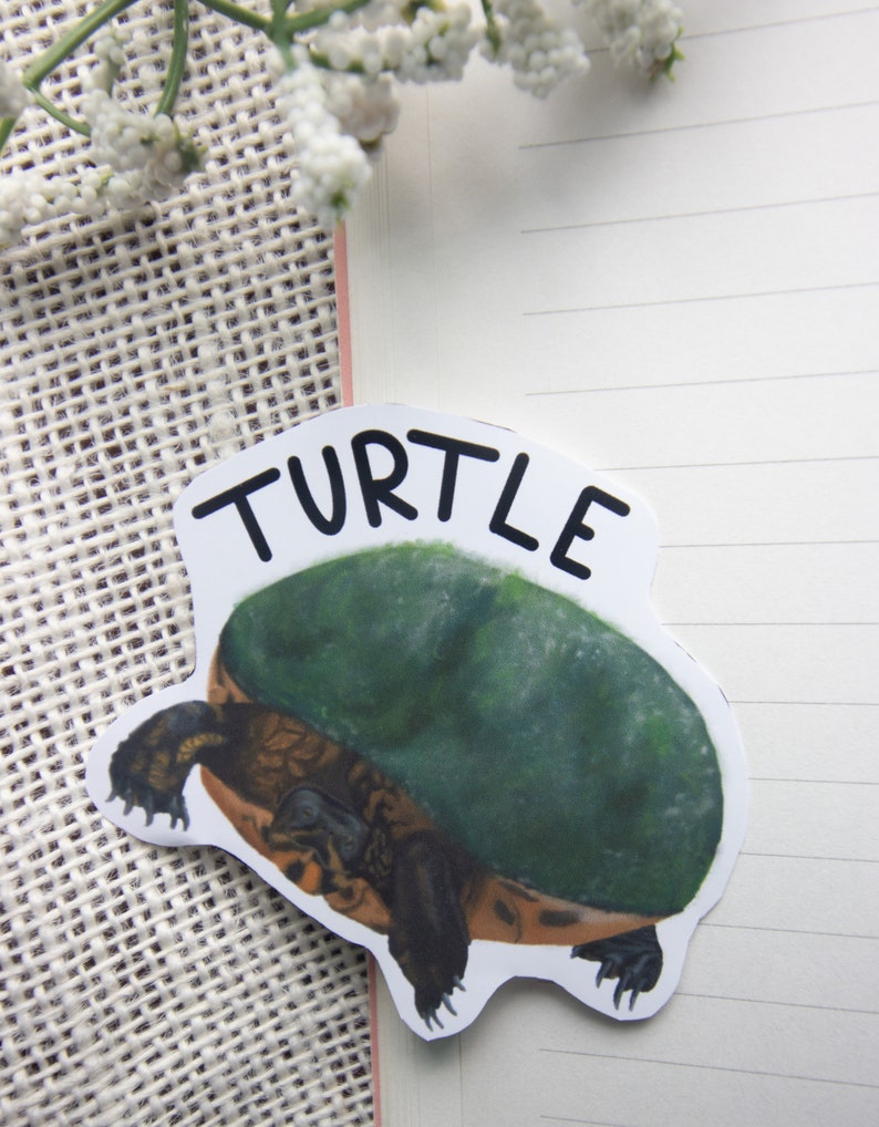 Turtle, Animal Sticker, Turtle Sticker, Vinyl Sticker, Laptop Sticker ...