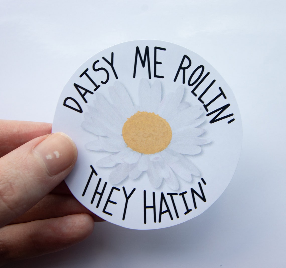 Daisy Pun Sticker Song Pun Sticker Flower Pun Sticker - Etsy UK