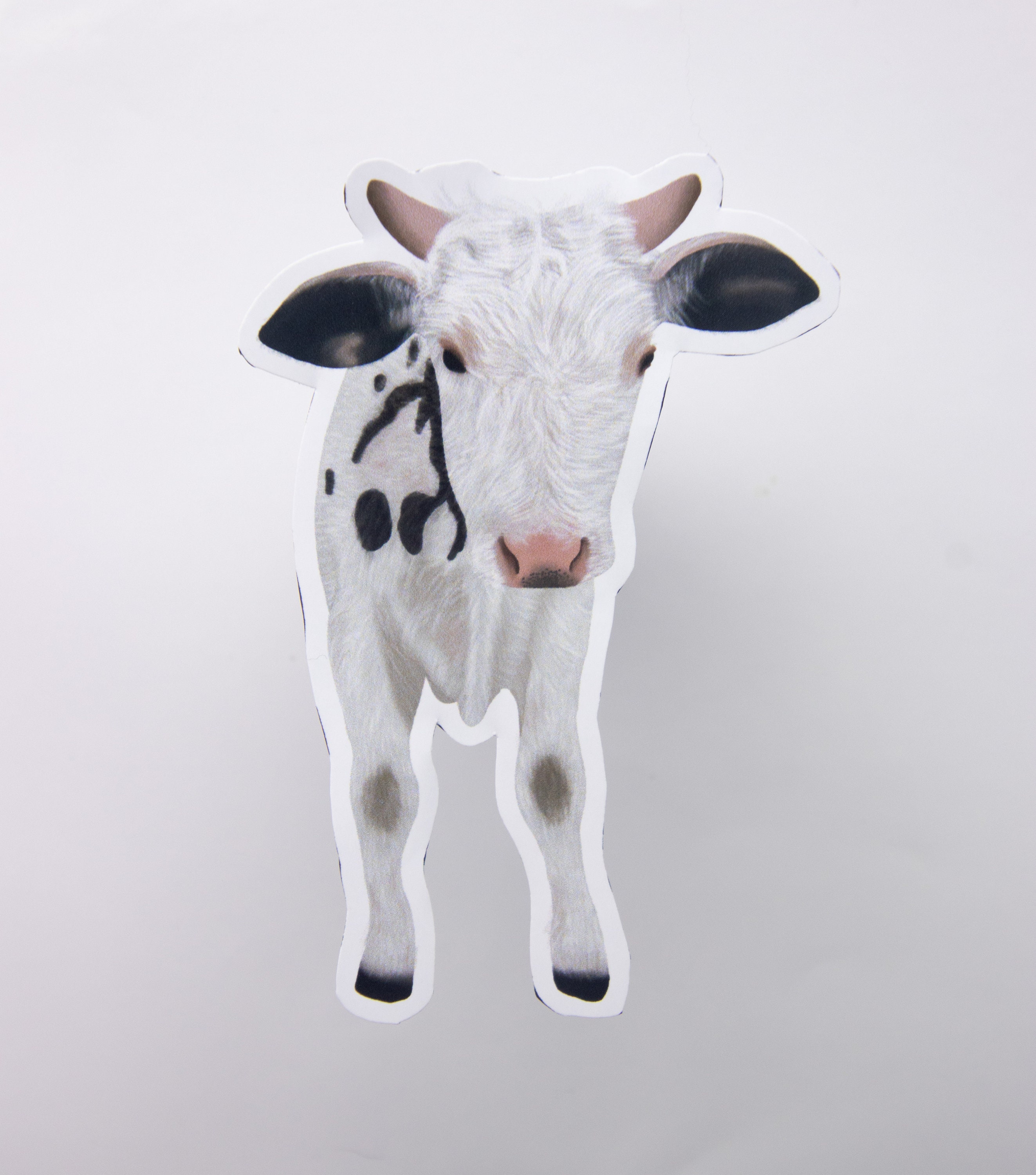 Cow Sticker, Cute Cow Sticker for Laptop, Cow Sticker for Planner ...