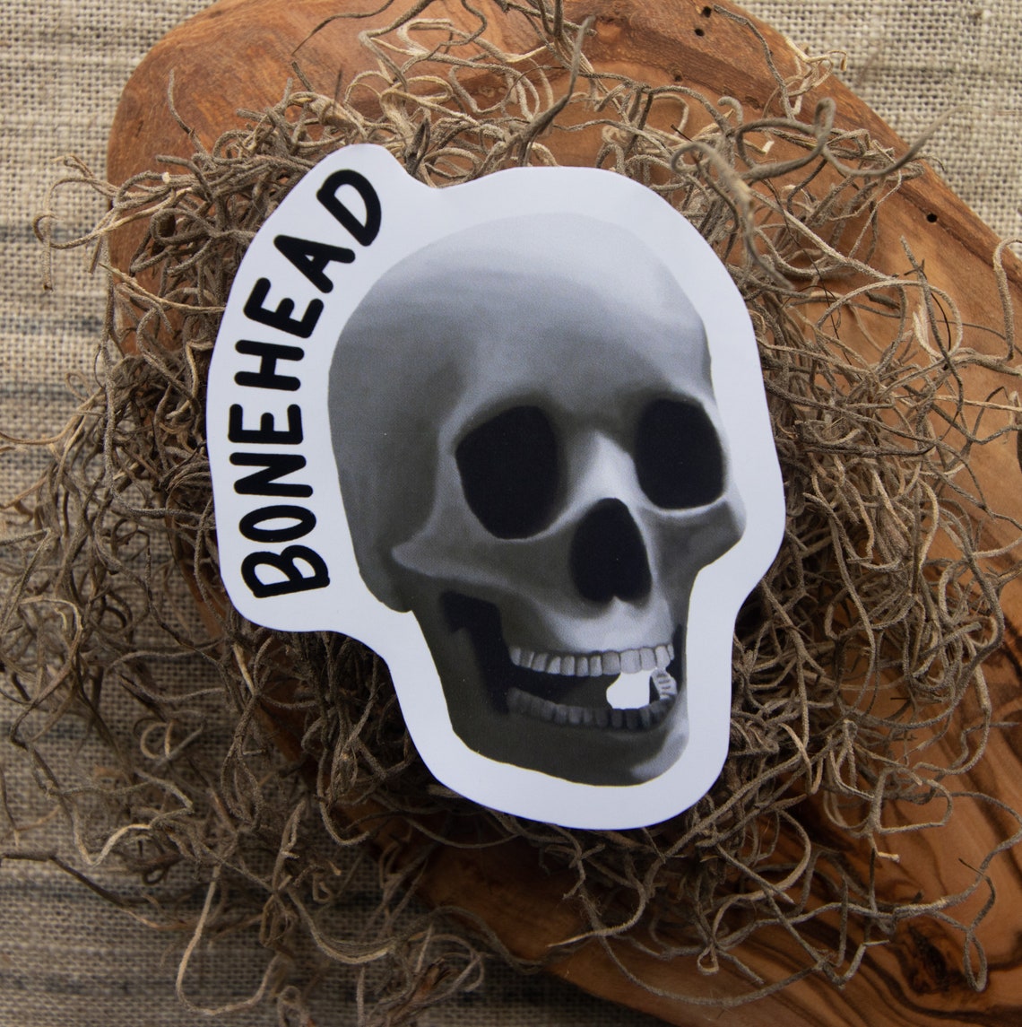 Skull Pun Sticker Bonehead Sticker Skull Sticker for Laptop - Etsy