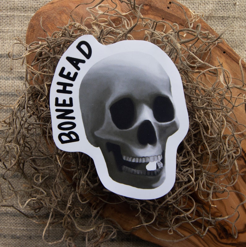 Skull Pun Sticker, Bonehead Sticker, Skull Sticker for Laptop, Skull ...