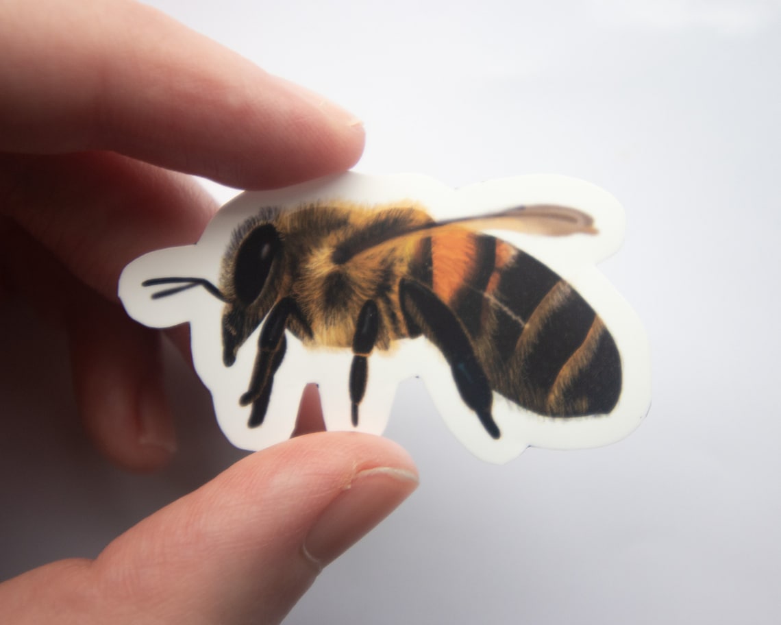 Bee Sticker for Laptop, Bee Bug Sticker, Bee Vinyl Sticker, Bee Drawing ...