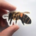 Bee Sticker for Laptop, Bee Bug Sticker, Bee Vinyl Sticker, Bee Drawing ...