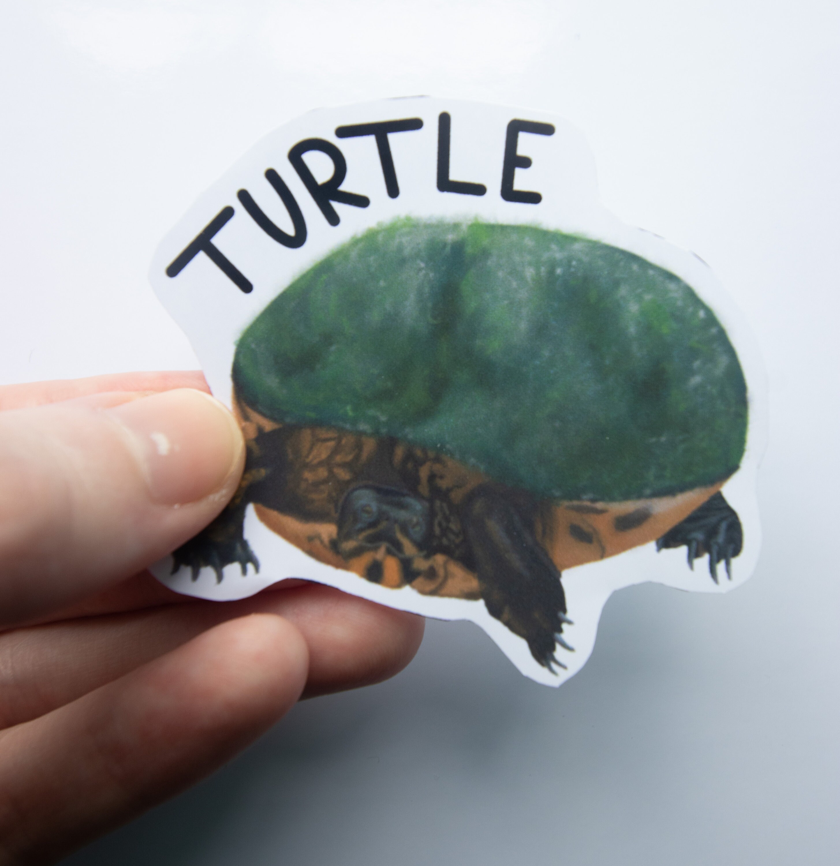 Turtle, Animal Sticker, Turtle Sticker, Vinyl Sticker, Laptop Sticker ...